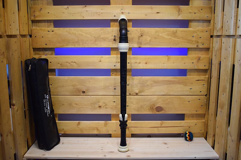 Thomann TRB-31B Bass Recorder | Reverb