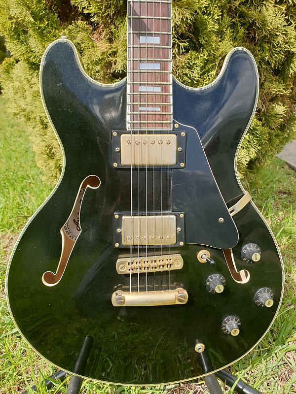 Aria Pro II TA-60 Semiacoustic | Reverb Australia