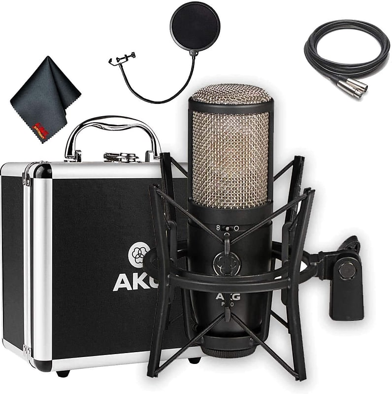 AKG P420 Large-Diaphragm Condenser Microphone with Gator | Reverb