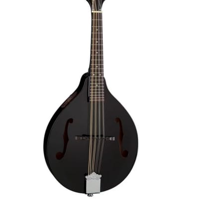 DEAN Tennessee acoustic electric Mandolin Classic Black - NEW | Reverb