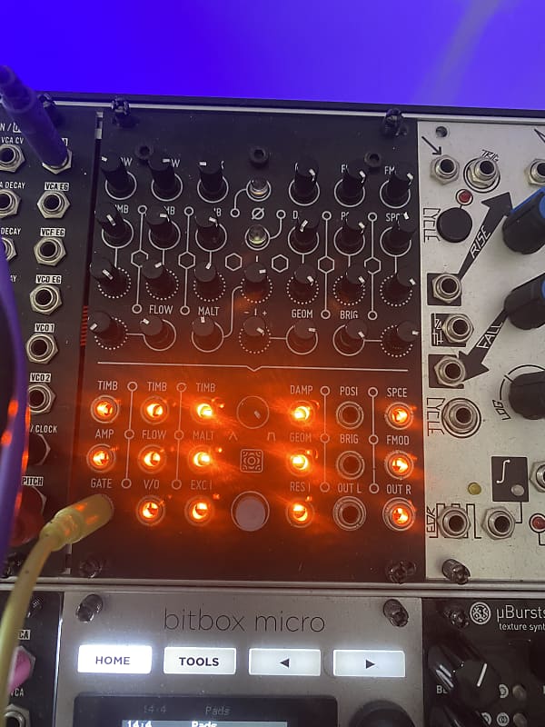 After Later Audio Atom 2021 - Black | Reverb