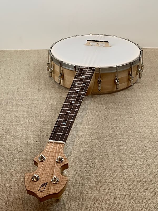 Songbird Stringed Instruments Model 20 Luthier built | Reverb