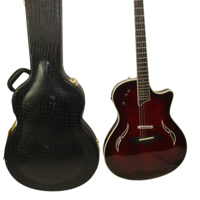 2006 Taylor T5-S1 Standard Thinline 5-Way Flame Maple | Reverb Ireland