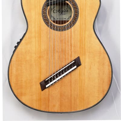 Agile 9 String MultiScale Fan Fret Acoustic Classical Guitar | Reverb