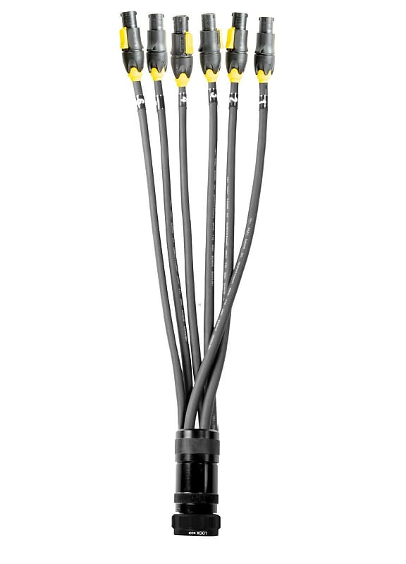 Elite Core SOCAPEX SOCO 19 PIN to 5ft 6 Channel True1 Female | Reverb