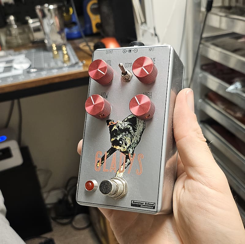 Summer School Electronics Gladys | Reverb