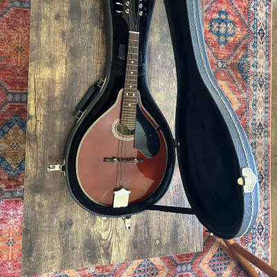 GOYA solid state amplifiers, tube amplifiers, bass effects, fuzz ...