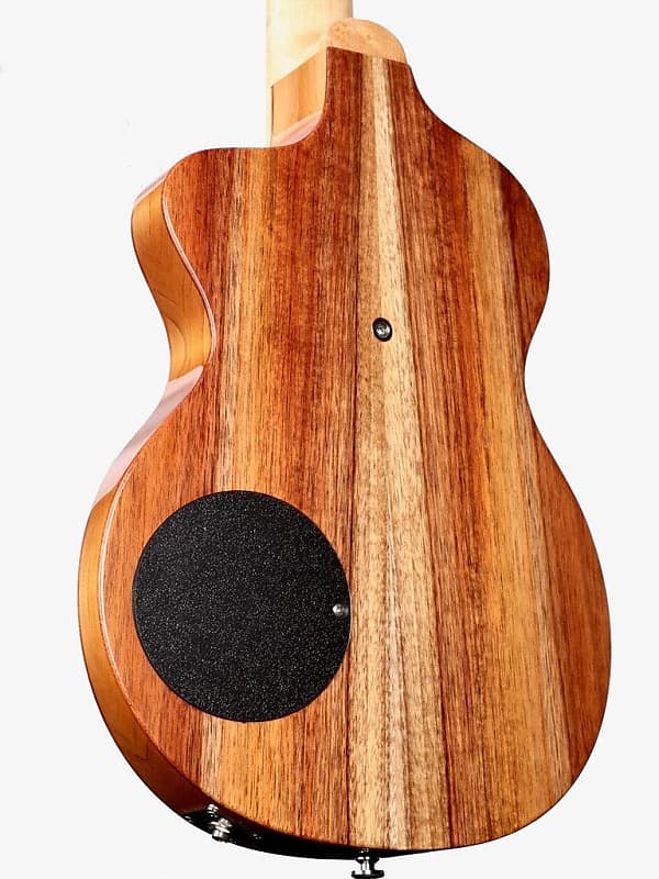 Rick Turner Model 1 Ltd. Edition Black Acacia "Heartbreaker | Reverb