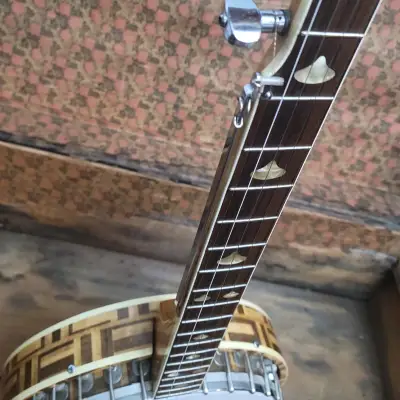 Conqueror Unique Wood Design Banjo Professional Setup By Mass | Reverb