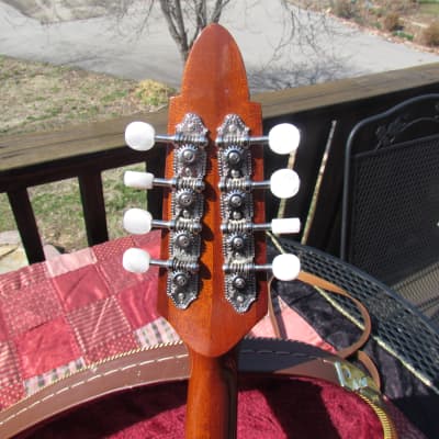 Beard Instruments Celtic mandolin #28 2010-2020 - Gloss | Reverb