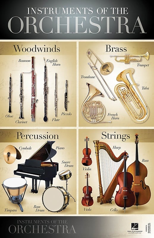 Instruments Of The Orchestra Poster 22 X 34 Inch | Reverb