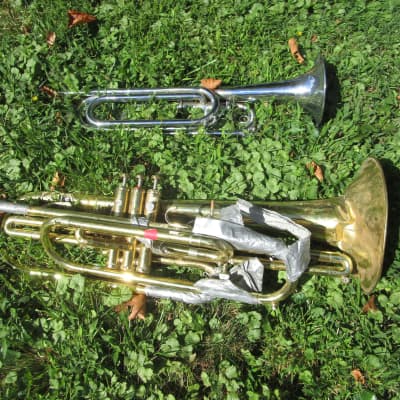 (9) Trumpets, (5) Trombones, (2) Marching Horns, Projects, | Reverb