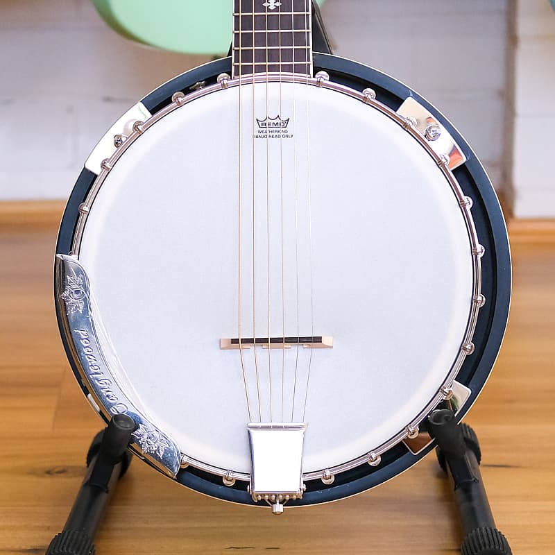 Tanglewood Union Series 6-String Banjo with DCM Padded Bag | Reverb