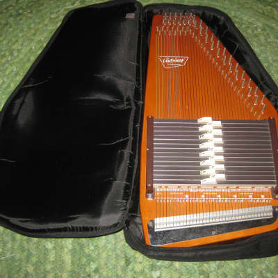Autoharp Chromaharp Gig Bag Case | Reverb