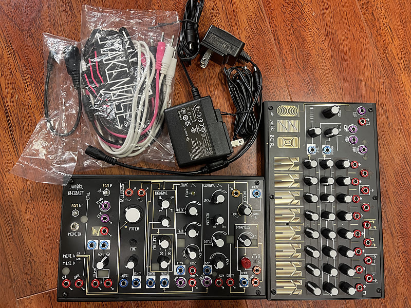 Make Noise 0-Coast & 0-CTRL | Reverb