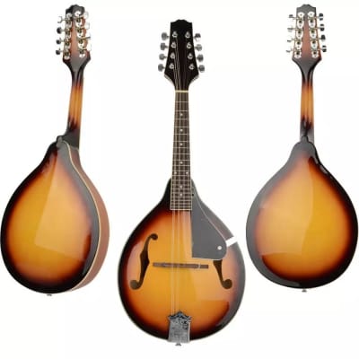 A-Style Cambered Wood Mandolin – 4 Pairs of Strings, High | Reverb