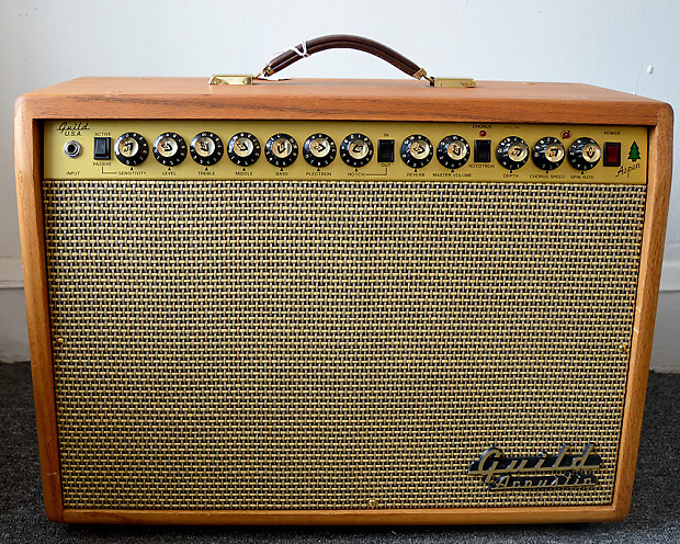 Guild G600 Aspen Acoustic Amp | Reverb