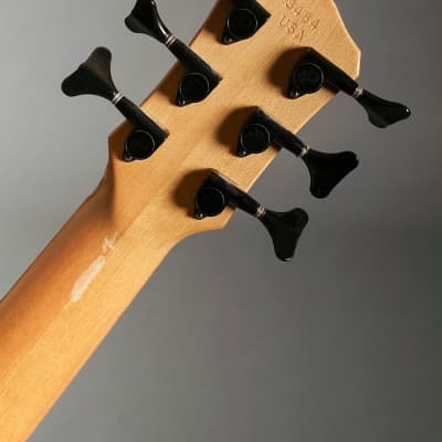 Pedulla 6 String Fretless - Natural | Reverb