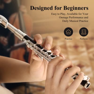 Piccolo Instrument For Beginners Students, Key Of C Piccolo | Reverb