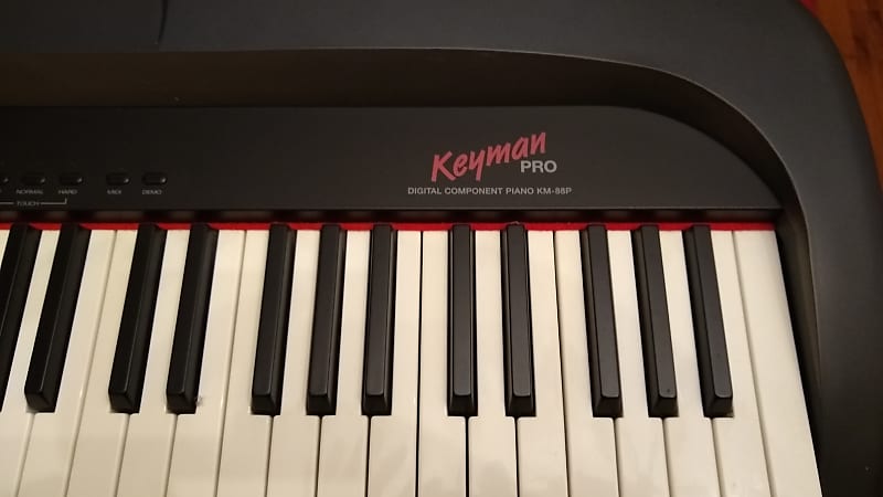 Suzuki Keyman Pro KM-88P Late 90's | Reverb