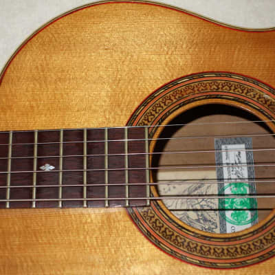 1999 Michael Turko "Tennessee Tornado " Parlor Guitar | Reverb