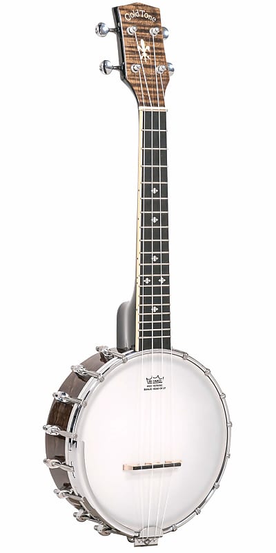 Gold Tone Banjolele/L Concert Maple Neck Scale 4-String Banjo | Reverb