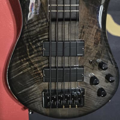 Spector Euro 4X "Spectorbird" Tobacco Sunburst One of | Reverb