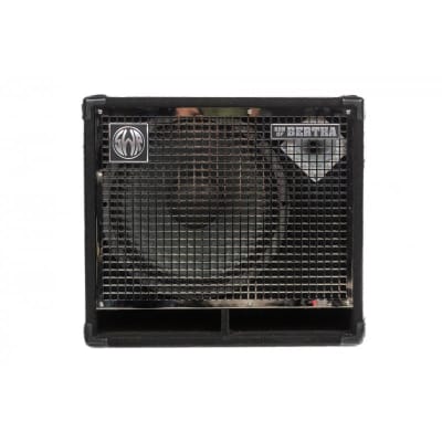 Swr Son of Bertha 1x15" + horn bass cabinet | Reverb