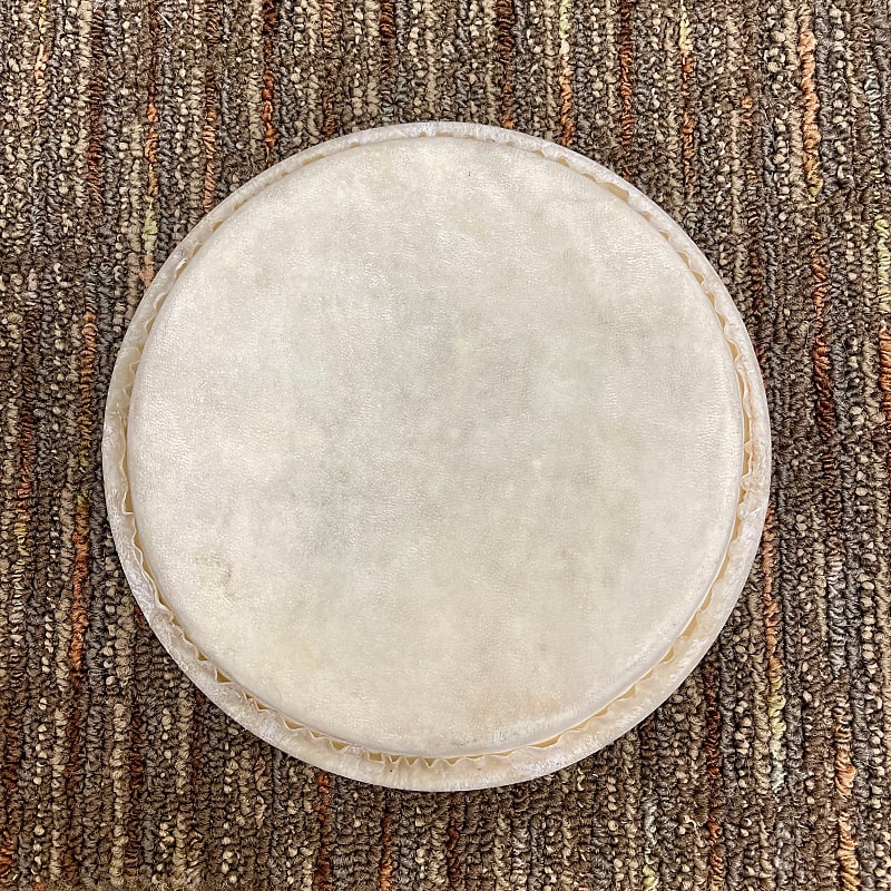 Gen Bongo Drum Head 6 1/4" Calf Skin | Reverb