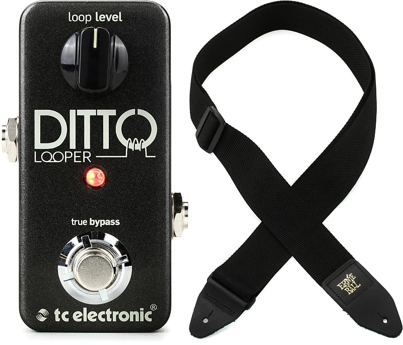 TC Electronic Ditto Looper Pedal Bundle with Ernie Ball 2" | Reverb