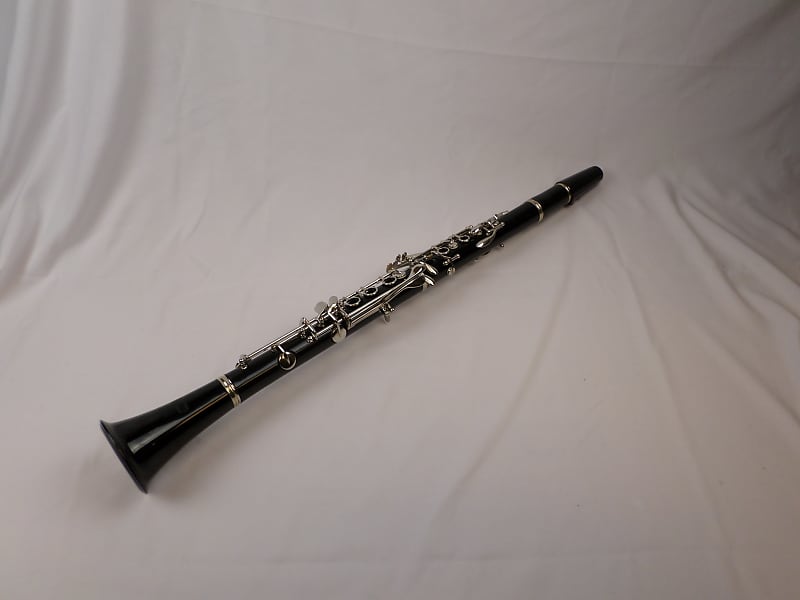 Used Bundy Plastic Clarinet with Case and Accessories | Reverb