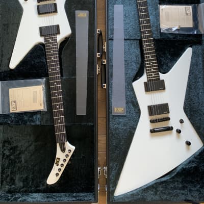ESP MX-250 MX-II 2020 Custom James Hetfield explorer | Reverb