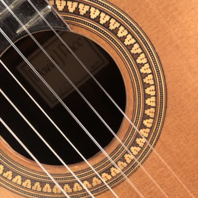 2010 David Pace "Double Top" Classical Guitar | Reverb