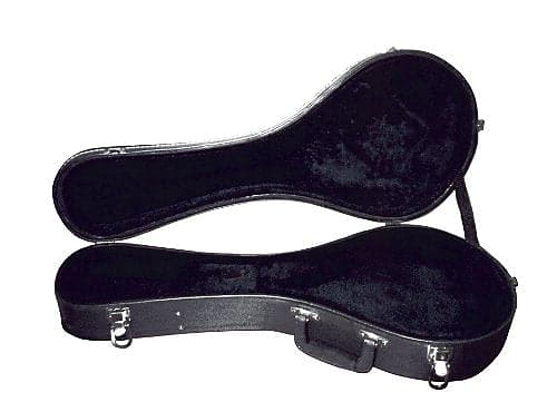 Guardian A Style Mandolin Case CG-020-MA | Reverb