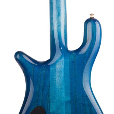 Spector USA Custom NS2 Fretless Bass Guitar - Desert Island - | Reverb