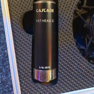 Cascade Fathead II Ribbon microphones with Lundahl | Reverb UK