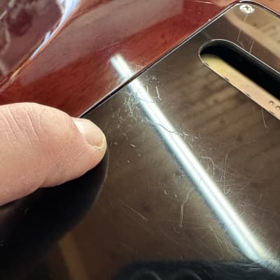 PRS Custom 24 Bird Inlays 10 Top 2014 - Tortoise Shell | Reverb