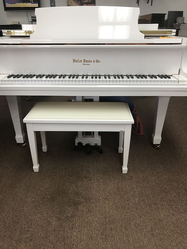 Hallet Davis GP148 2022 High gloss white | Reverb