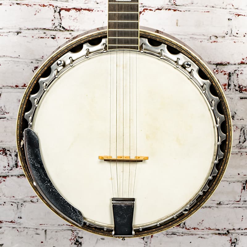 Aria - MIJ 5 String Banjo, Natural - w/OHSC - x5124 - USED | Reverb
