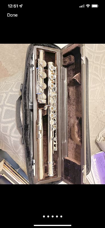 Di Zhao DZ-400 2021 *MINT CONDITION* Solid silver | Reverb Australia