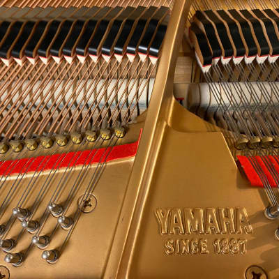Yamaha GH1 B baby grand piano piano | Reverb