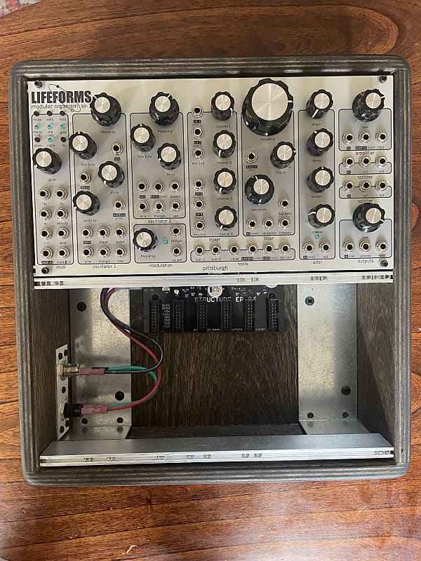 Pittsburgh Modular Lifeforms SV-1 w/ Structure 96 case | Reverb