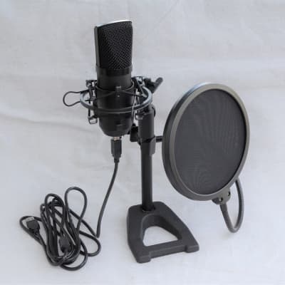 Bose PM-10 Voice and music microphone with stand | Reverb