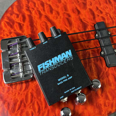 Fishman Model G Acoustic Pre-amp | Reverb