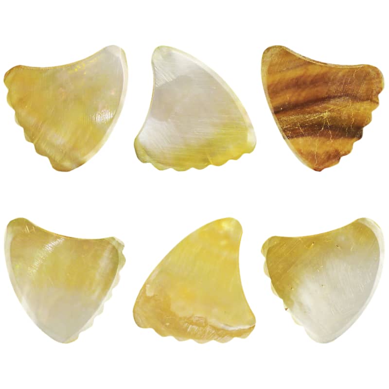 Gold Abalone Shell Guitar Pick - Shark Fin Shape - Handmade | Reverb