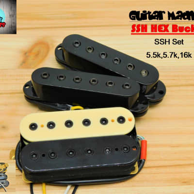 Guitar Madness G.M. Hex Pole HSS Set, Zebra with Black Fully | Reverb