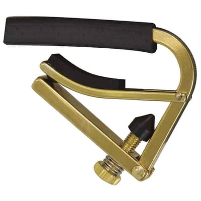 Shubb C1B Standard Brass Capo | Reverb