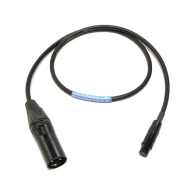 Cable Techniques 18 TA3F to XLR-3M Interface Cable for Sound | Reverb