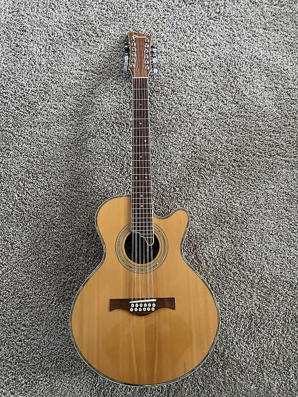Charvel/Jackson - 12 String Acoustic Guitar | Reverb