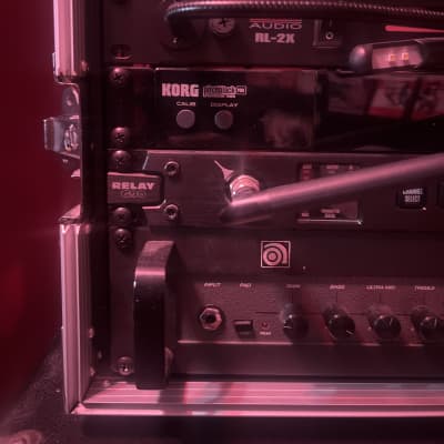 Ampeg B2RE w/ Rig | Reverb